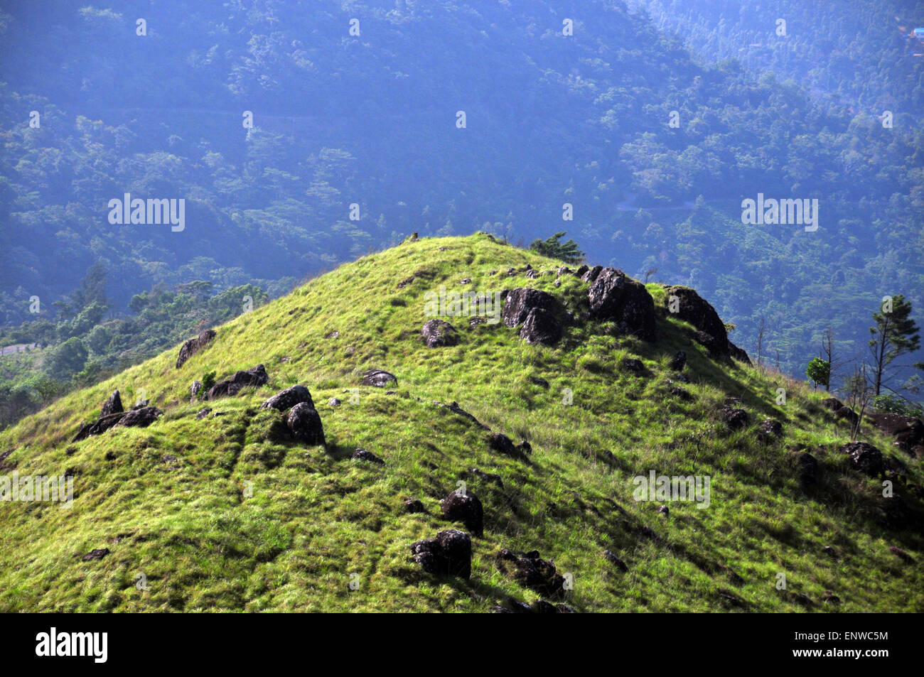 Ponmudi hills, Kerala, INDIA Stock Photo - Alamy