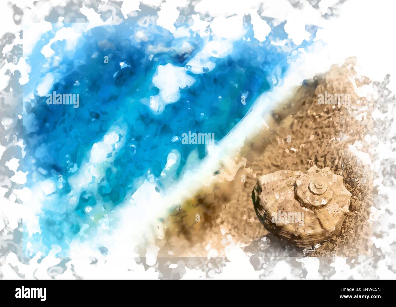 White sea shell macro Stock Vector Images - Alamy