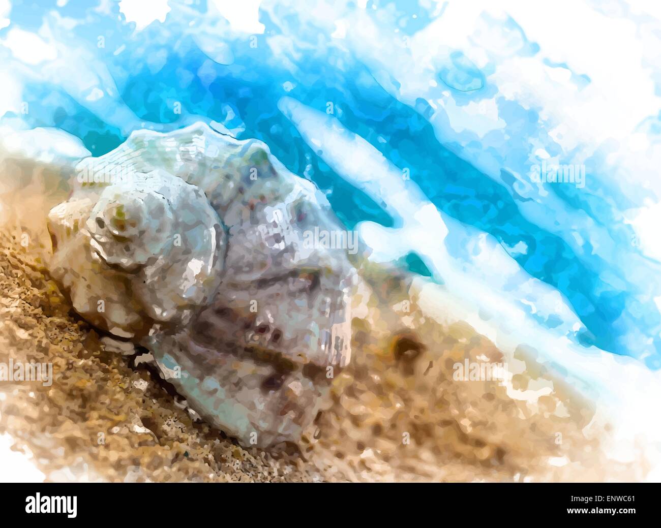 seashell on concrete Stock Vector Image & Art - Alamy