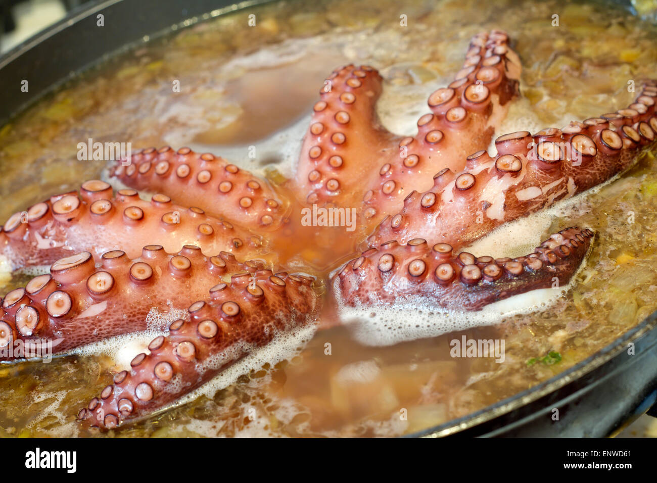 Octopus preparing to eat in the kitchen closeup Stock Photo - Alamy