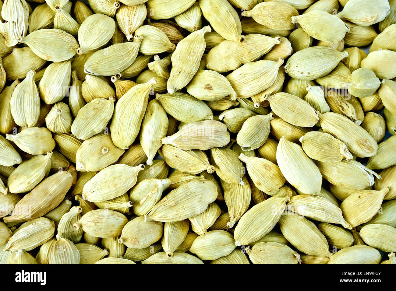 Cardamom tree hi-res stock photography and images - Alamy