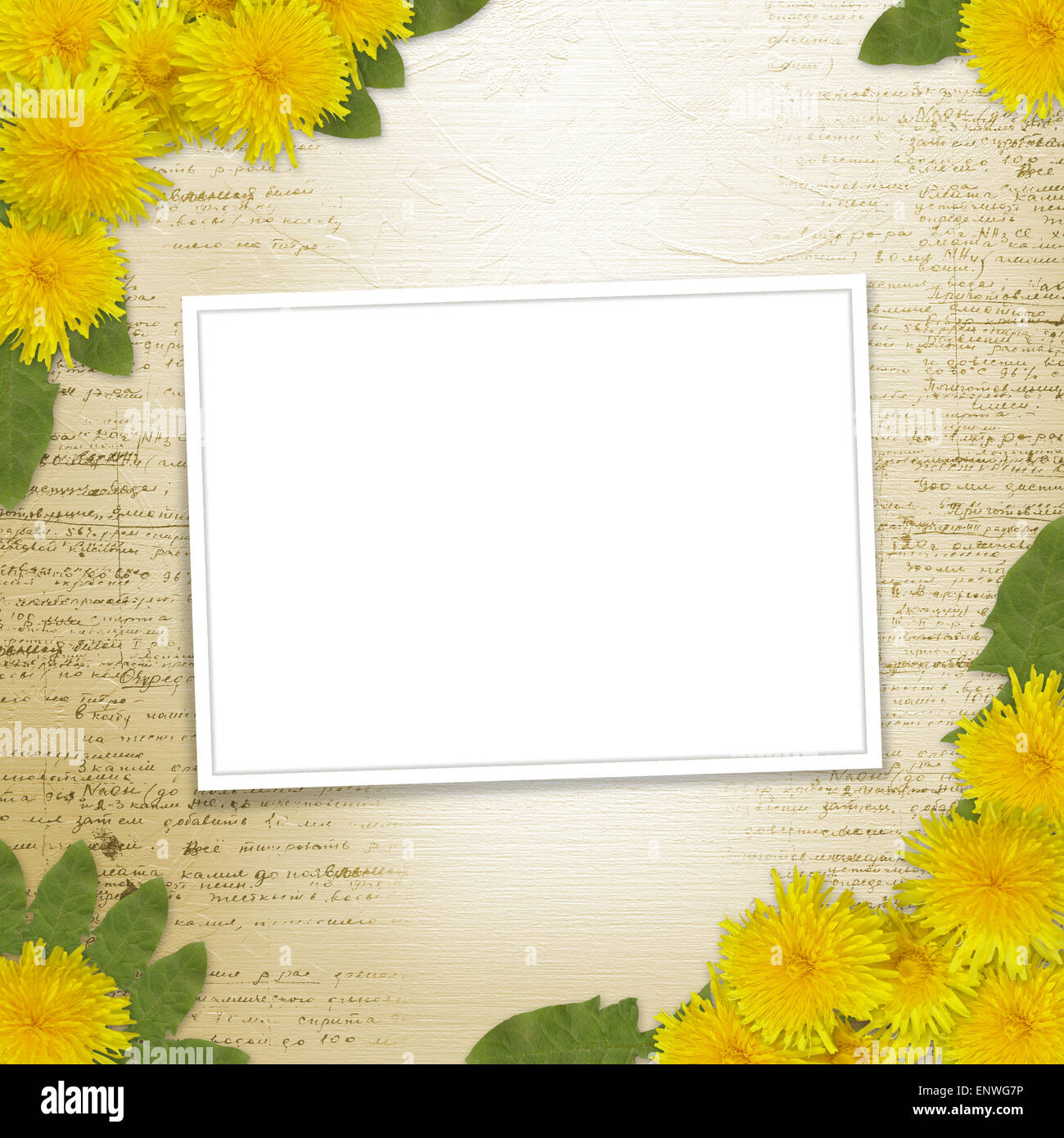 Writing abstract background with bunch of dandelions Stock Photo - Alamy