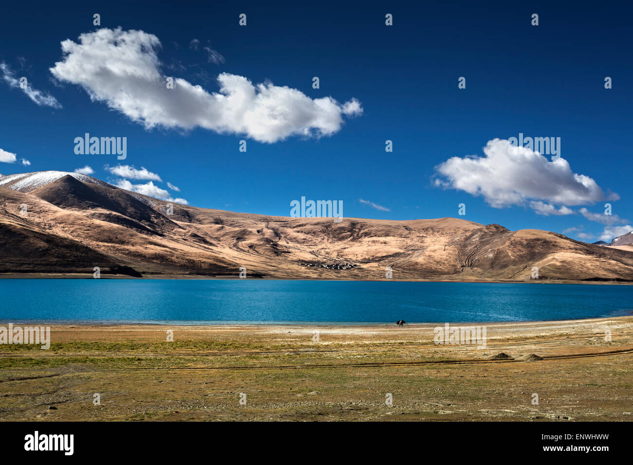 Tranquility Scene of Yamdork Lake, Tibet Stock Photo - Alamy