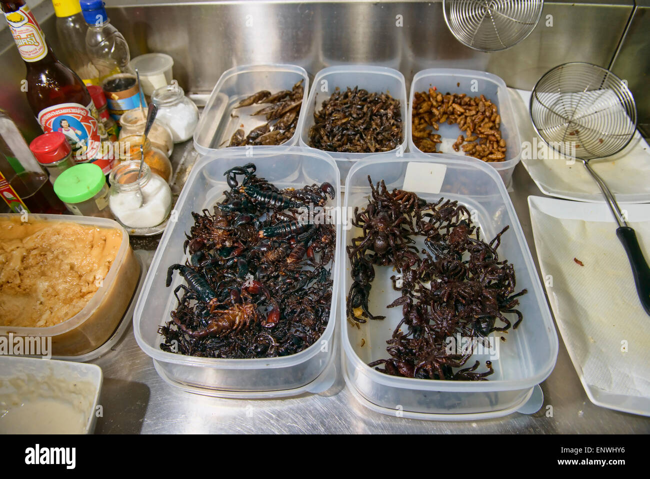 tarantulas and scorpions at the Bug Cafe in Siem Reap, Cambodia Stock ...