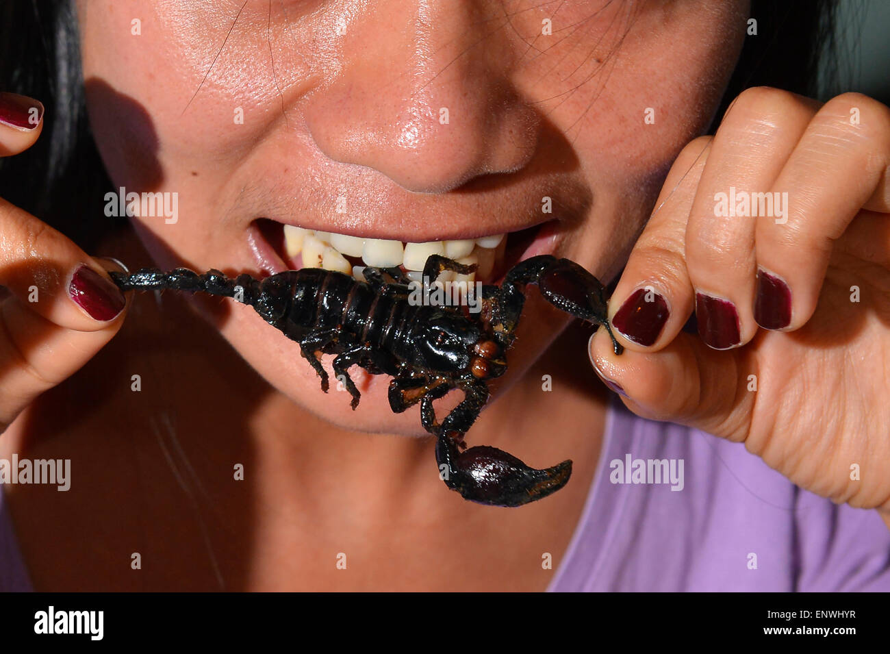 Asian eating insects hi-res stock photography and images - Alamy