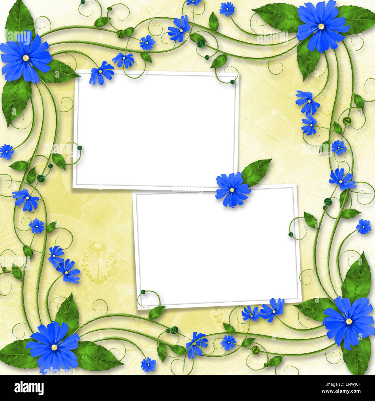Congratulations to the holiday with frame and blue flowers Stock Photo ...