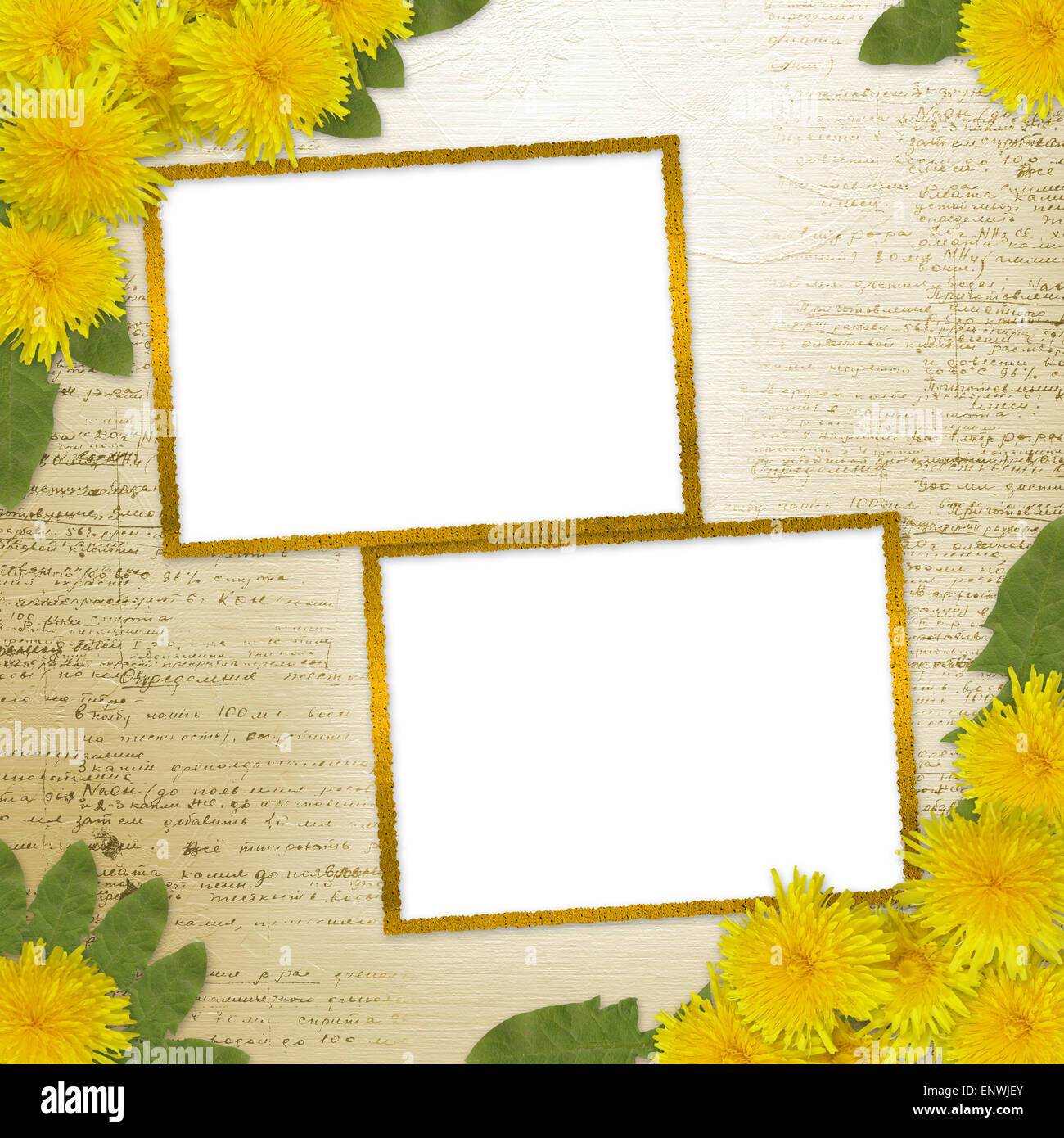 Writing abstract background with bunch of dandelions Stock Photo - Alamy