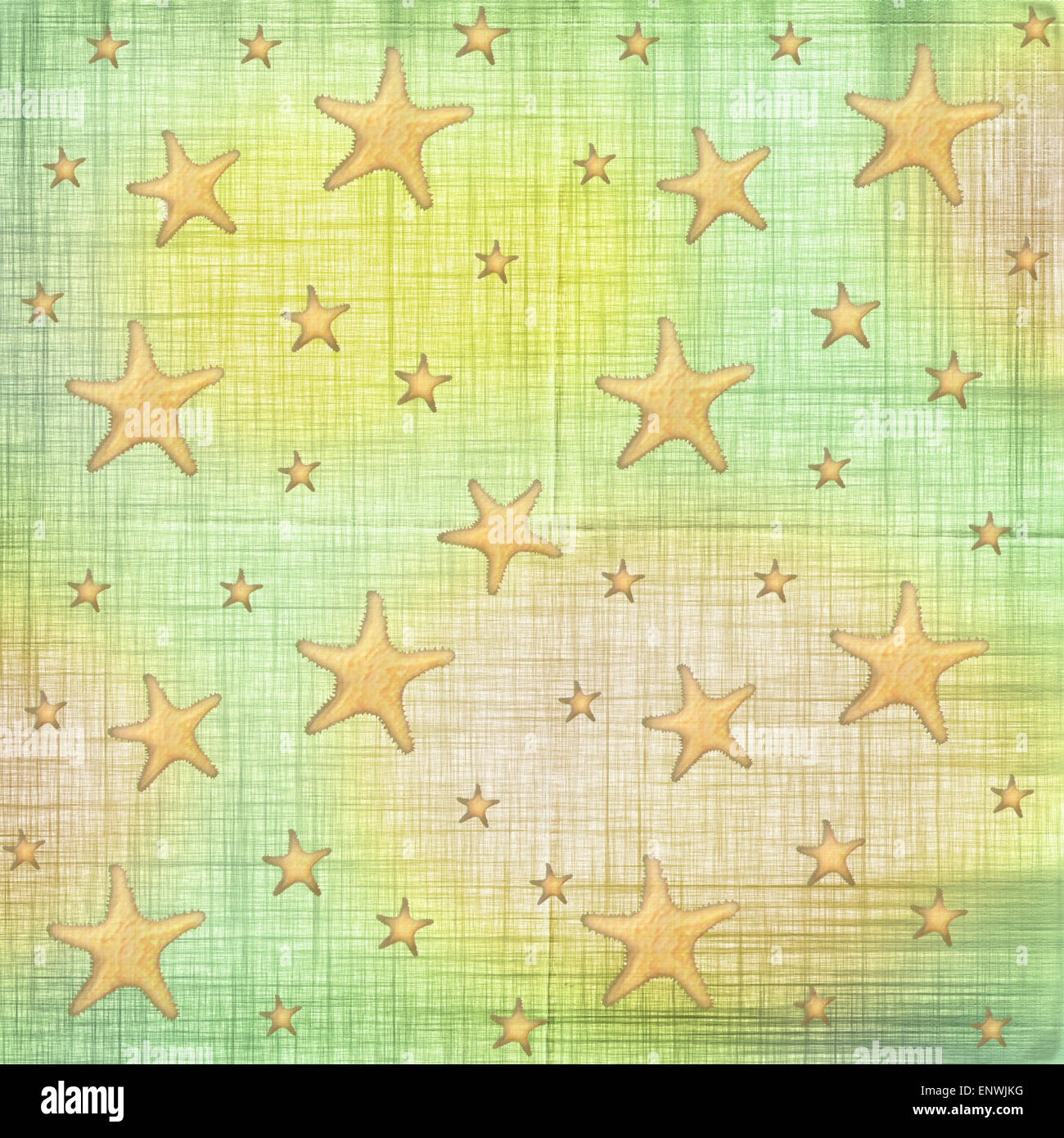 Sea stars on the abstract paper background Stock Photo - Alamy