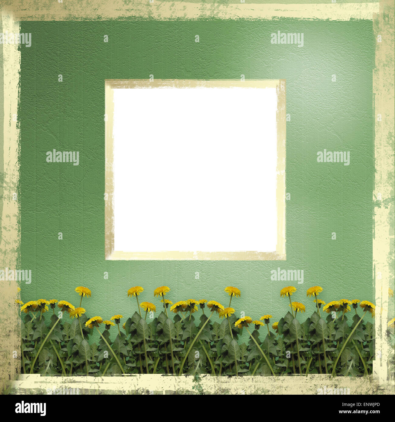 Green abstract background with gold frame and flowers of dandelion ...