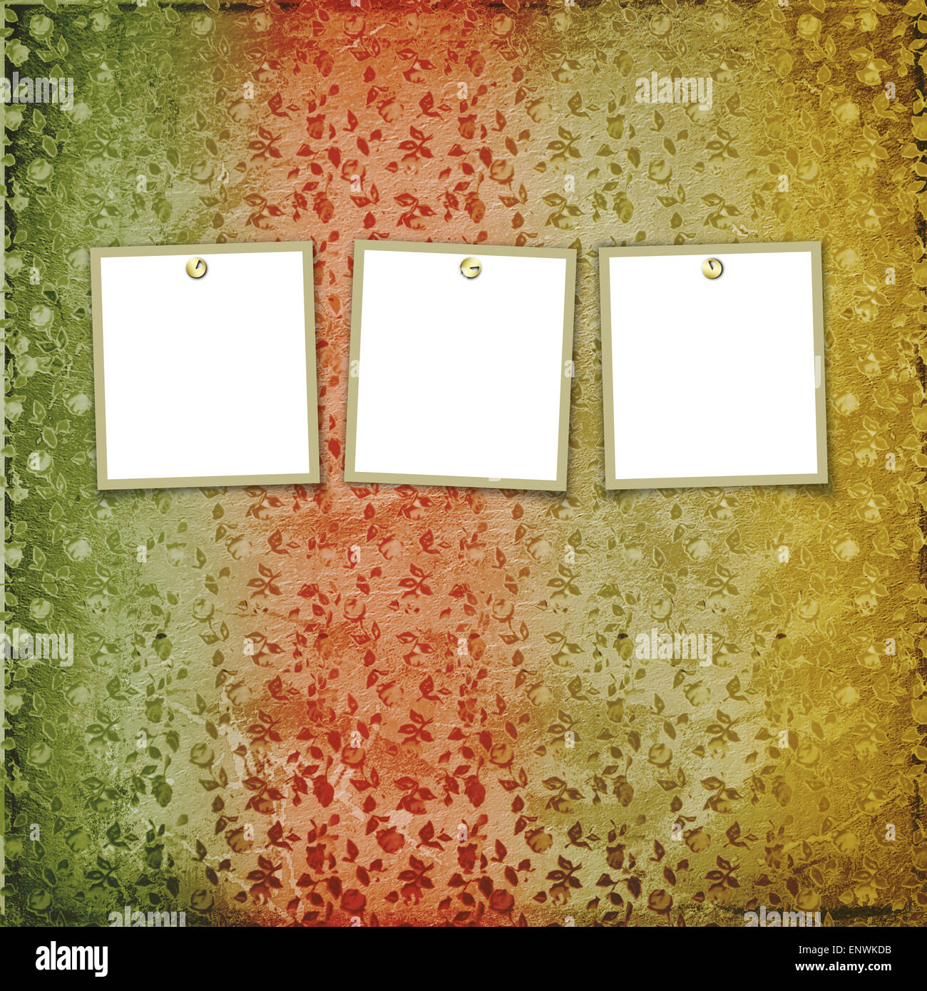 Three frames for photos on the floral background Stock Photo - Alamy