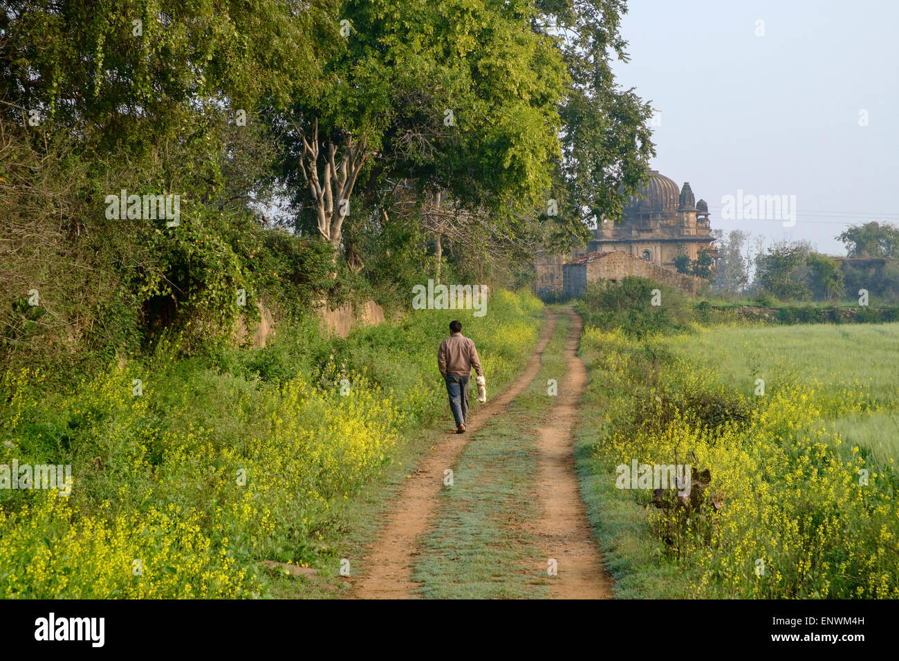 Orcha india temple hi-res stock photography and images - Alamy