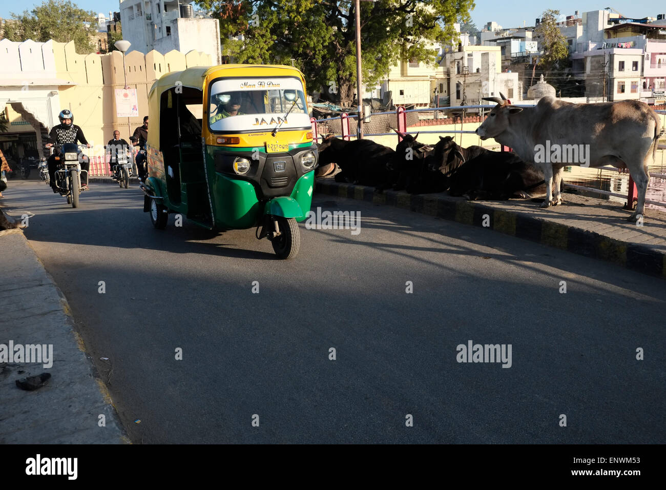 Rickshaw driving on bridge over Pichola Lake In Udaipur India Stock ...