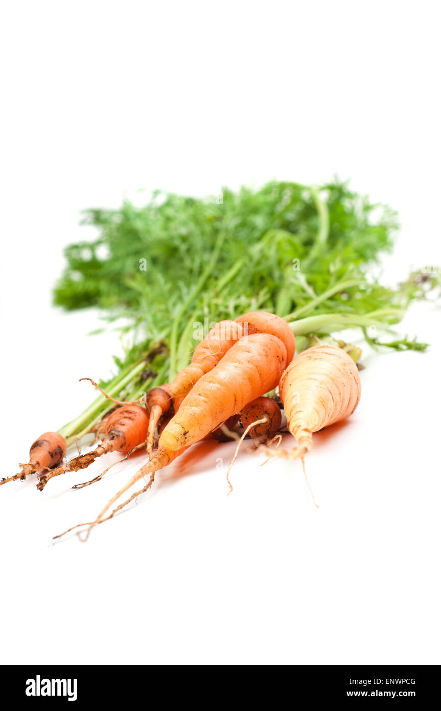 Roots carrot hi-res stock photography and images - Alamy