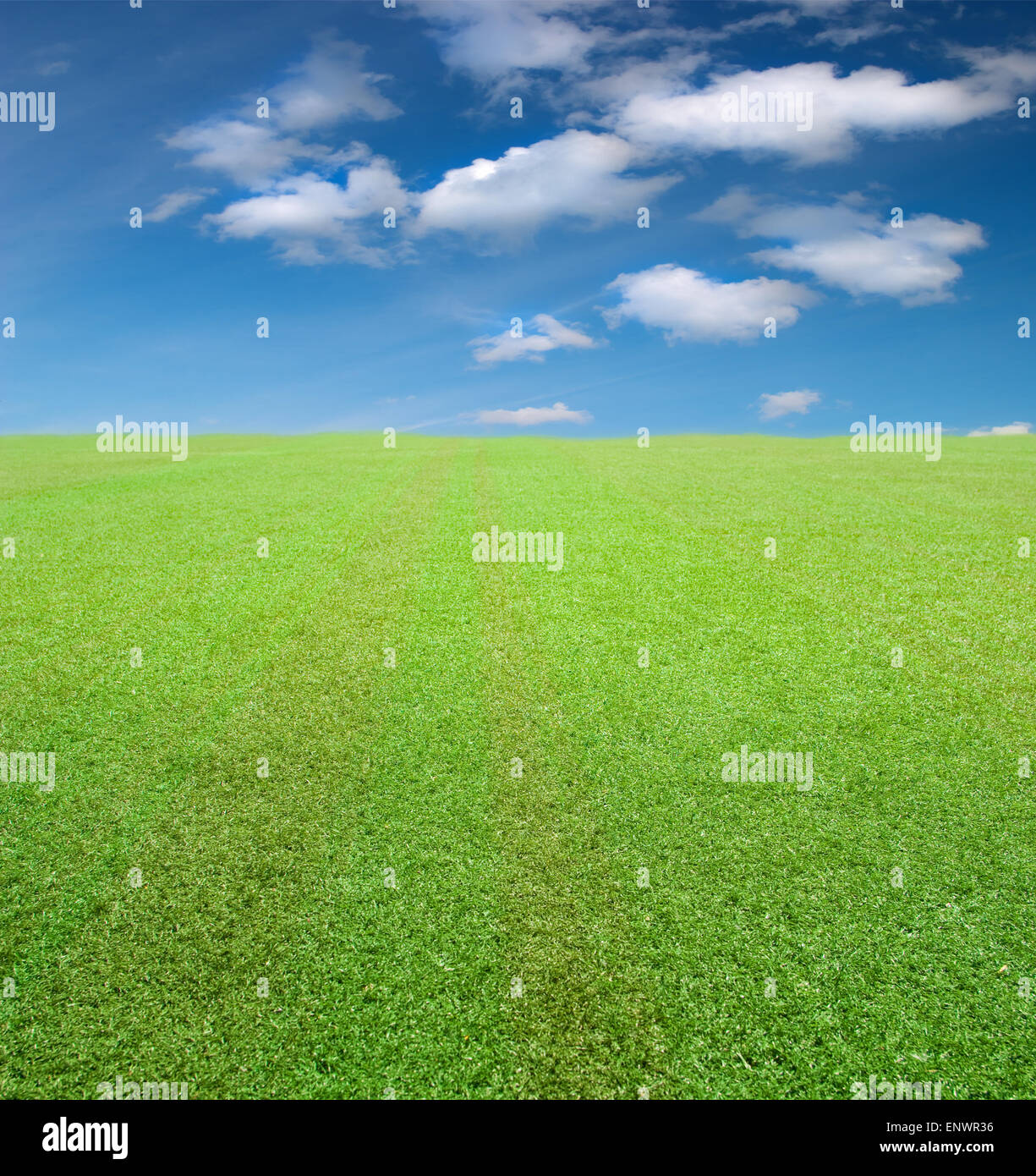 A level field with grass and blue sky above Stock Photo - Alamy