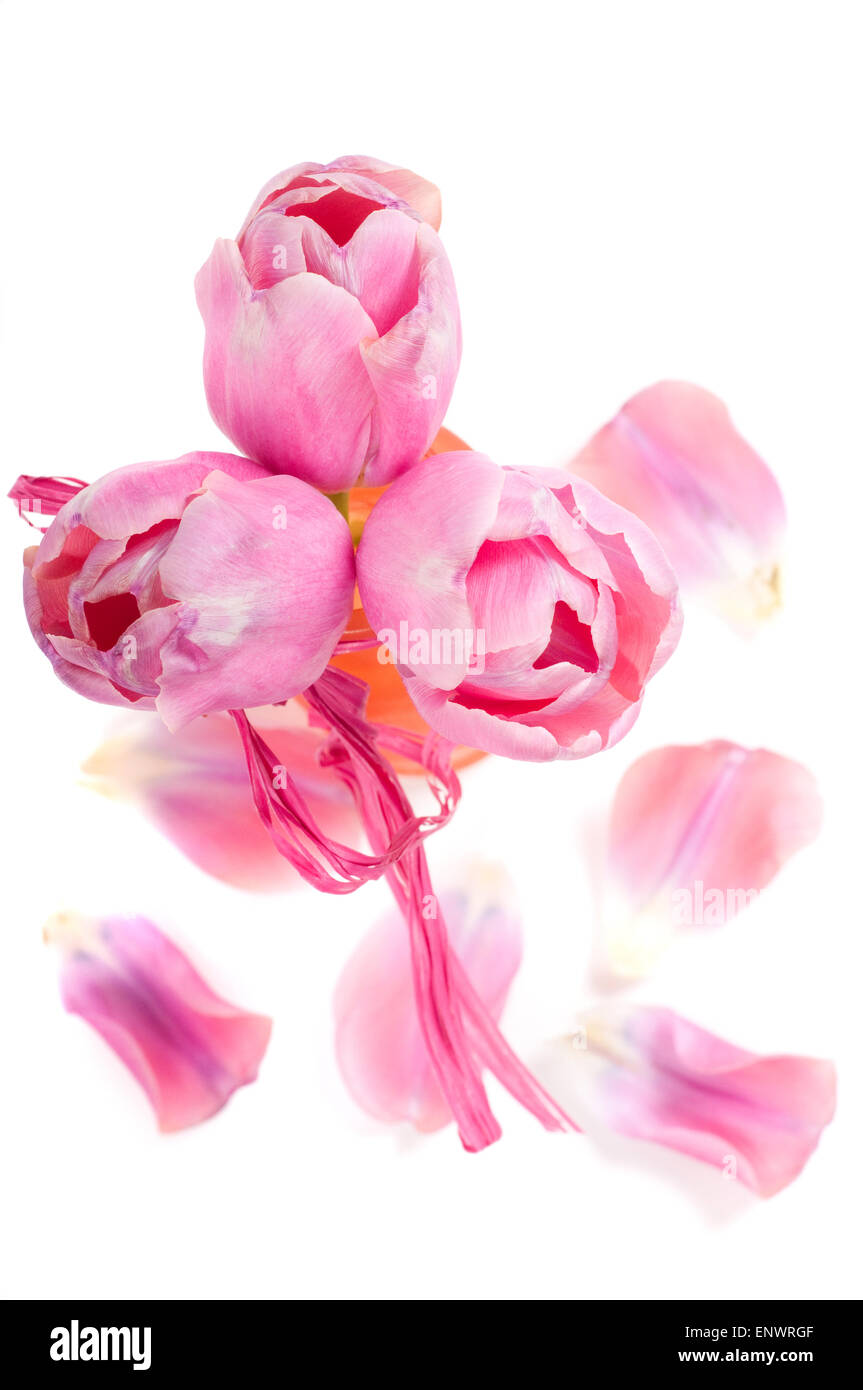 Delicate boom hi-res stock photography and images - Alamy