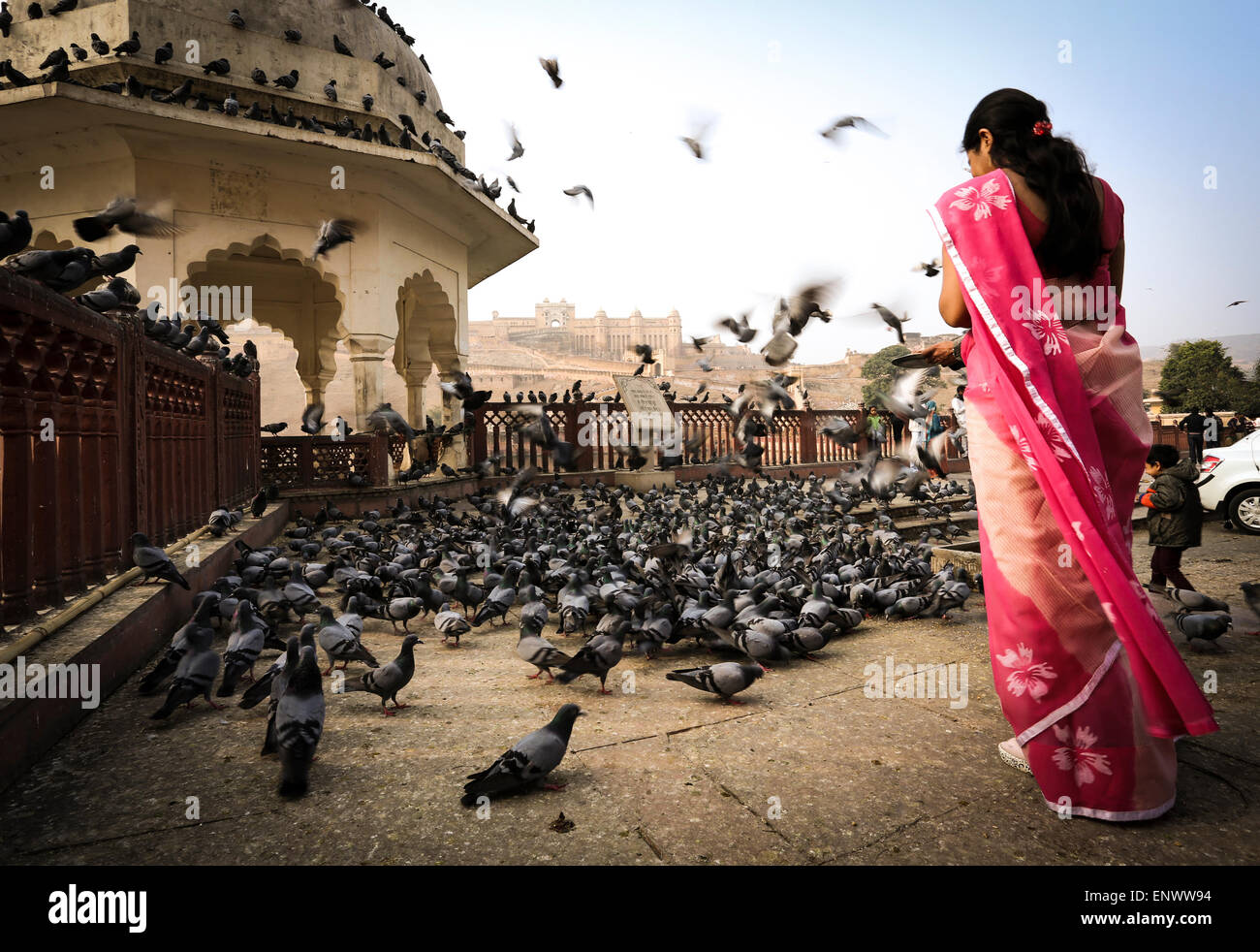 A woman feeding pigeons near Amber Fort in Jaipur, India, December 2013 ...