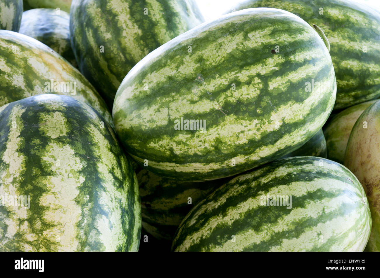 Seedless watermelons hi-res stock photography and images - Alamy