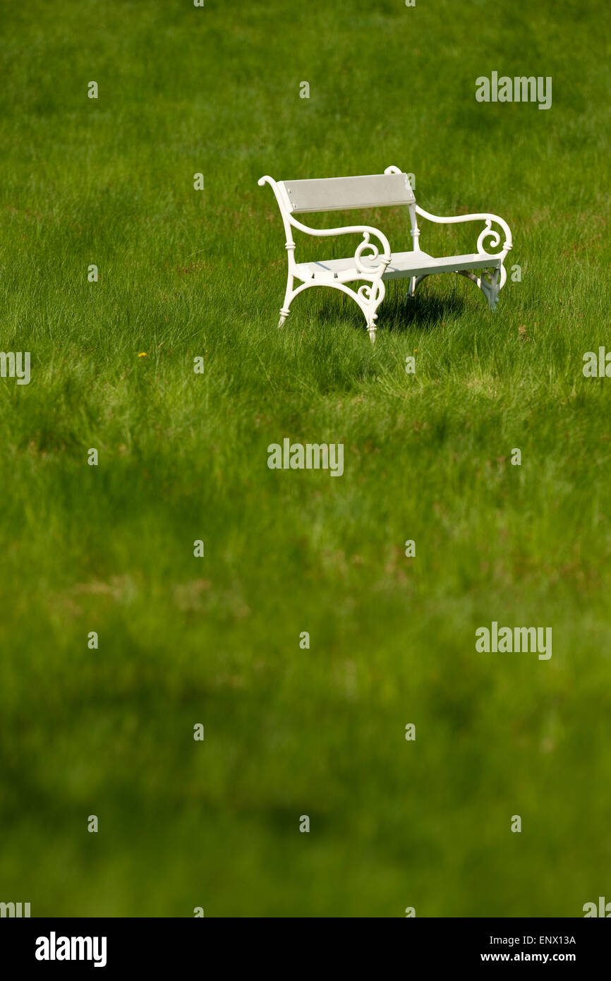 Spring and summer - White romantic bench in meadow Stock Photo - Alamy