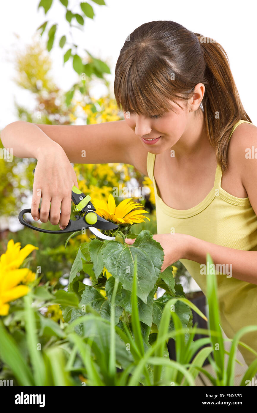 Gardening - woman cutting sunflower with pruning shears Stock Photo - Alamy