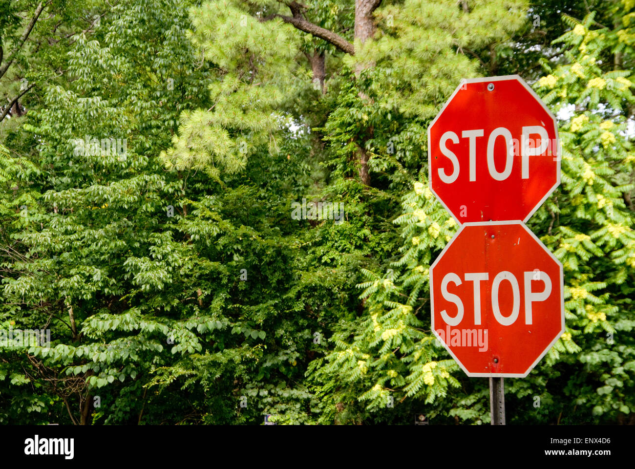 Stop signs hi-res stock photography and images - Alamy
