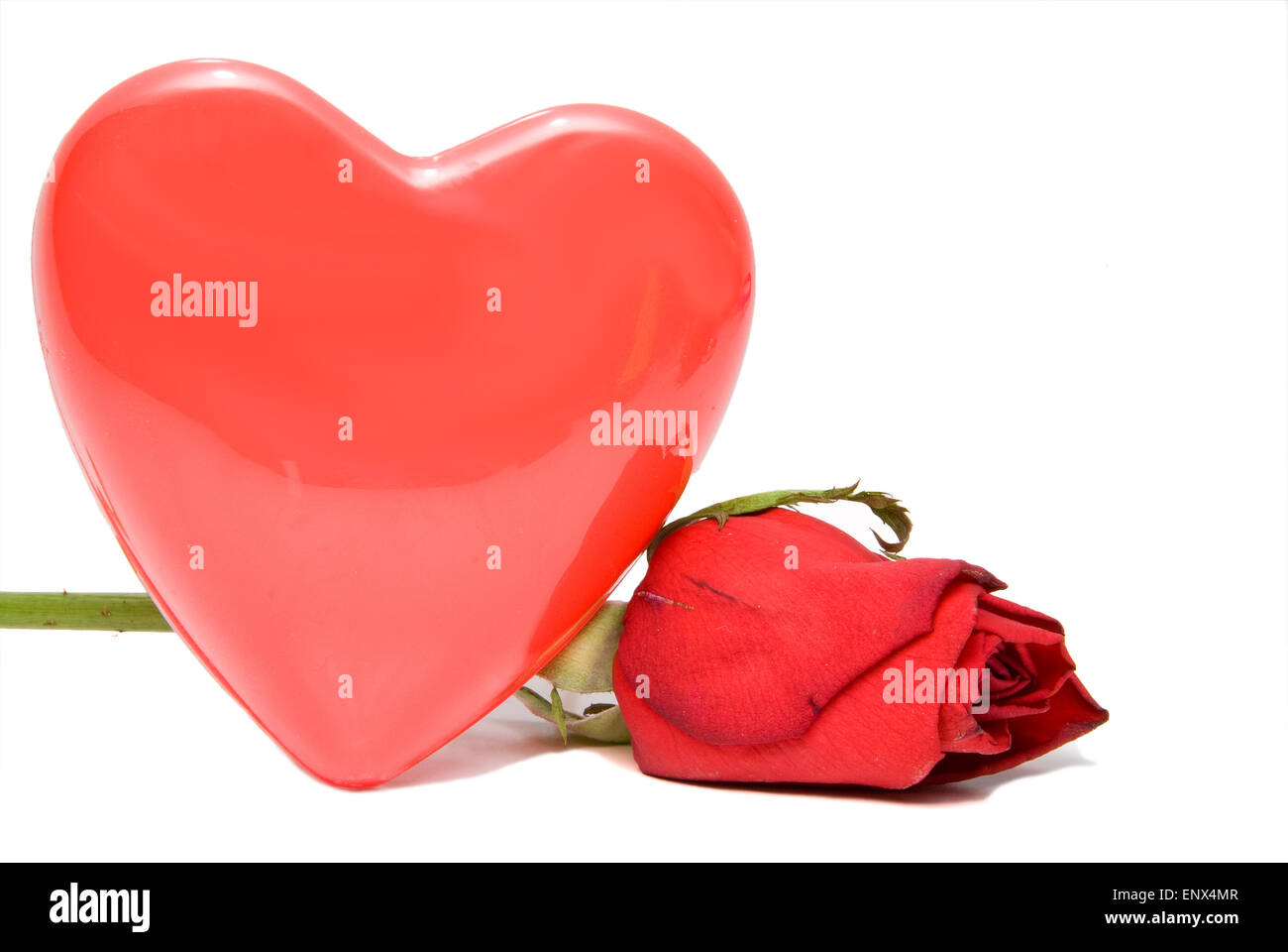 Single red rose heart Cut Out Stock Images & Pictures - Alamy