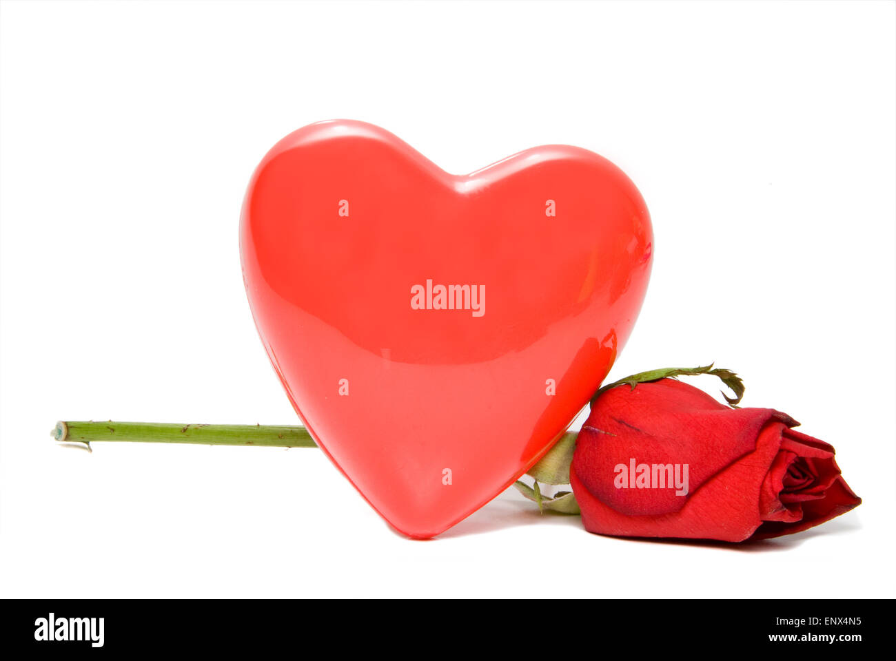 Single red rose heart Cut Out Stock Images & Pictures - Alamy