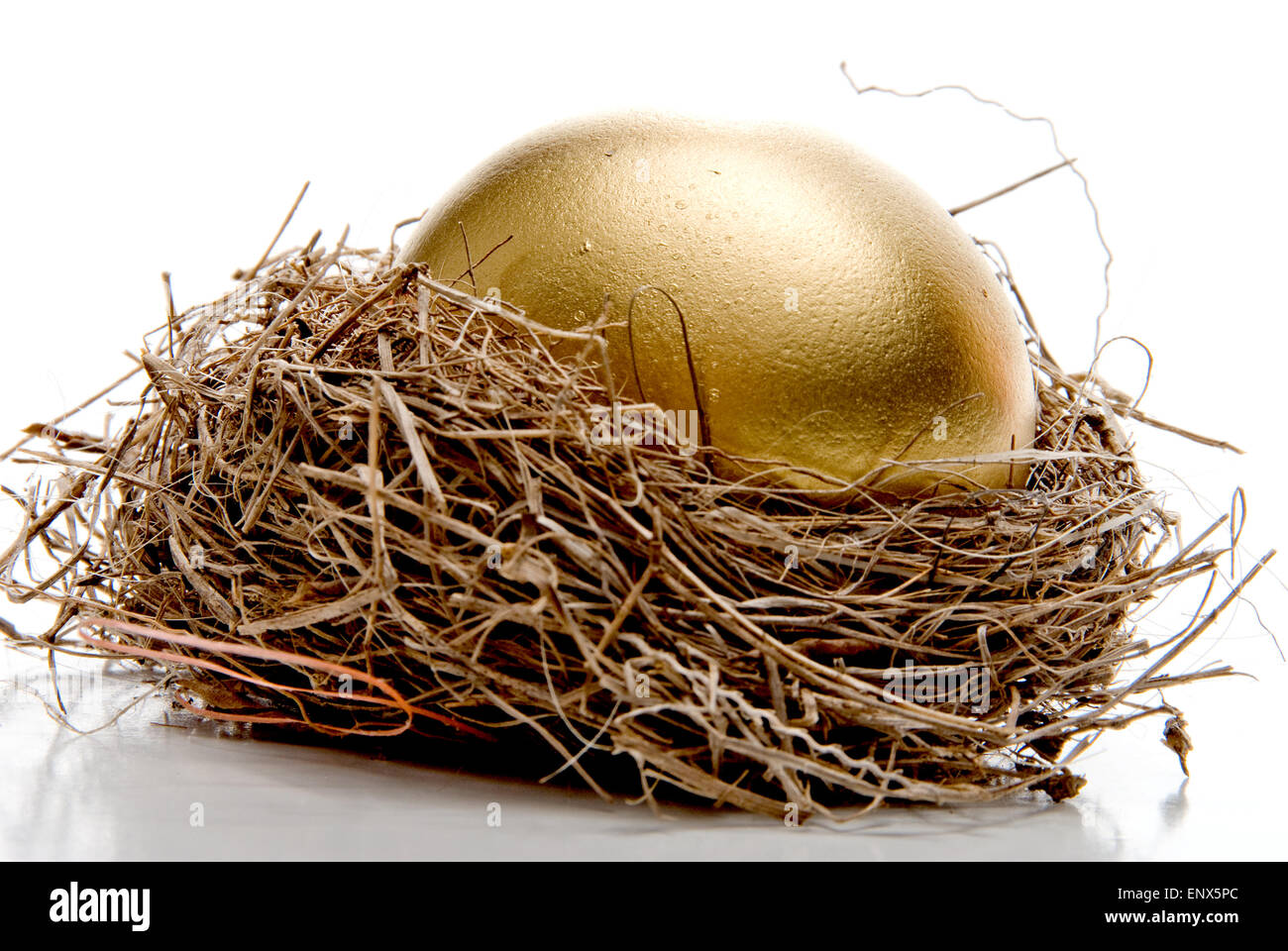 Goose golden egg hi-res stock photography and images - Alamy