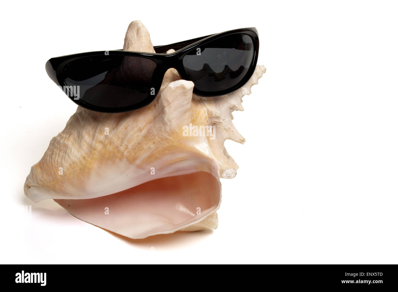 Conch eye Cut Out Stock Images & Pictures - Alamy