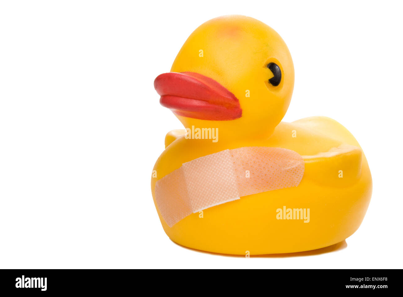 Wounded duck Cut Out Stock Images & Pictures - Alamy