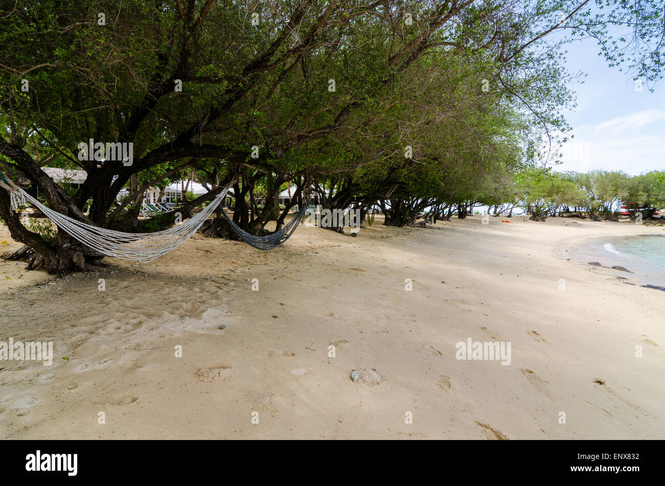 Beach tree sand and blue sea in Thailand Stock Photo - Alamy