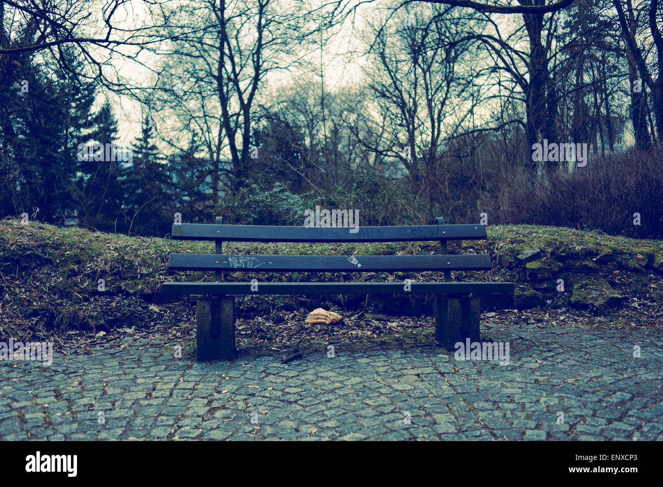A moody empty bench surrounded by bare trees. Looks like a scene from a ...