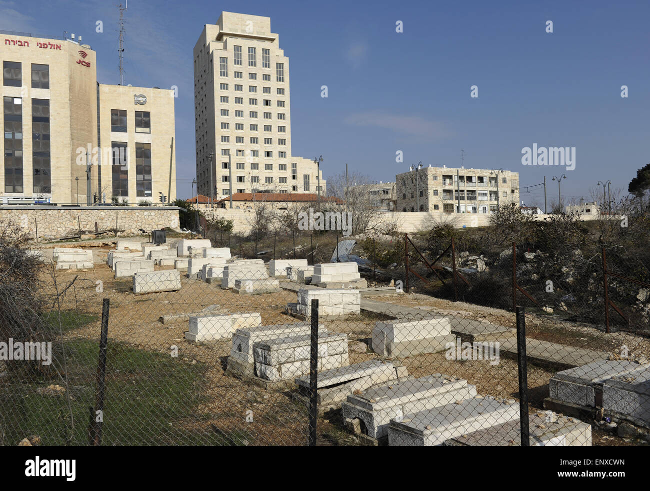 New jerusalem tree hi-res stock photography and images - Alamy