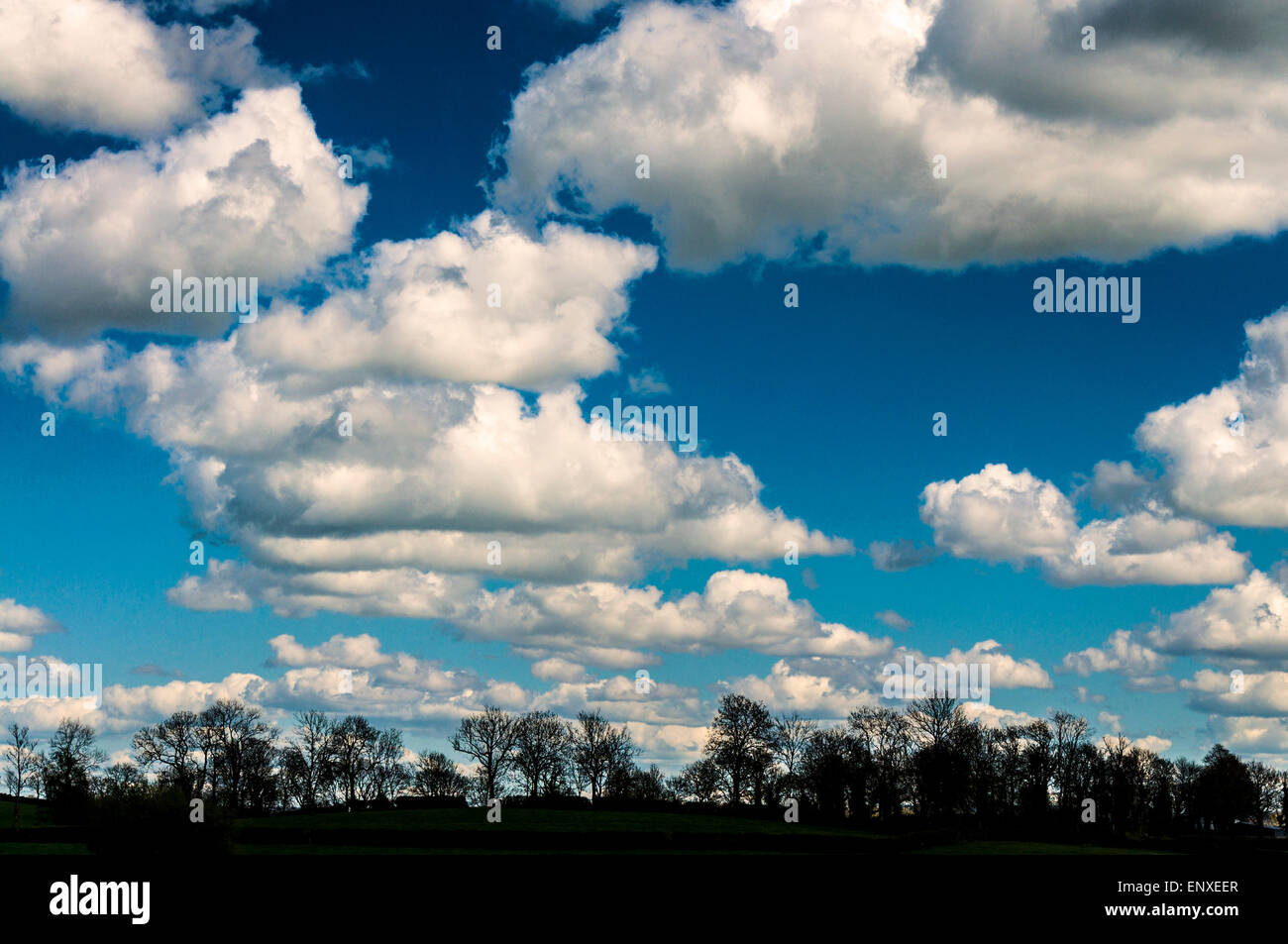 County Fermanagh landscape Northern Ireland Stock Photo - Alamy