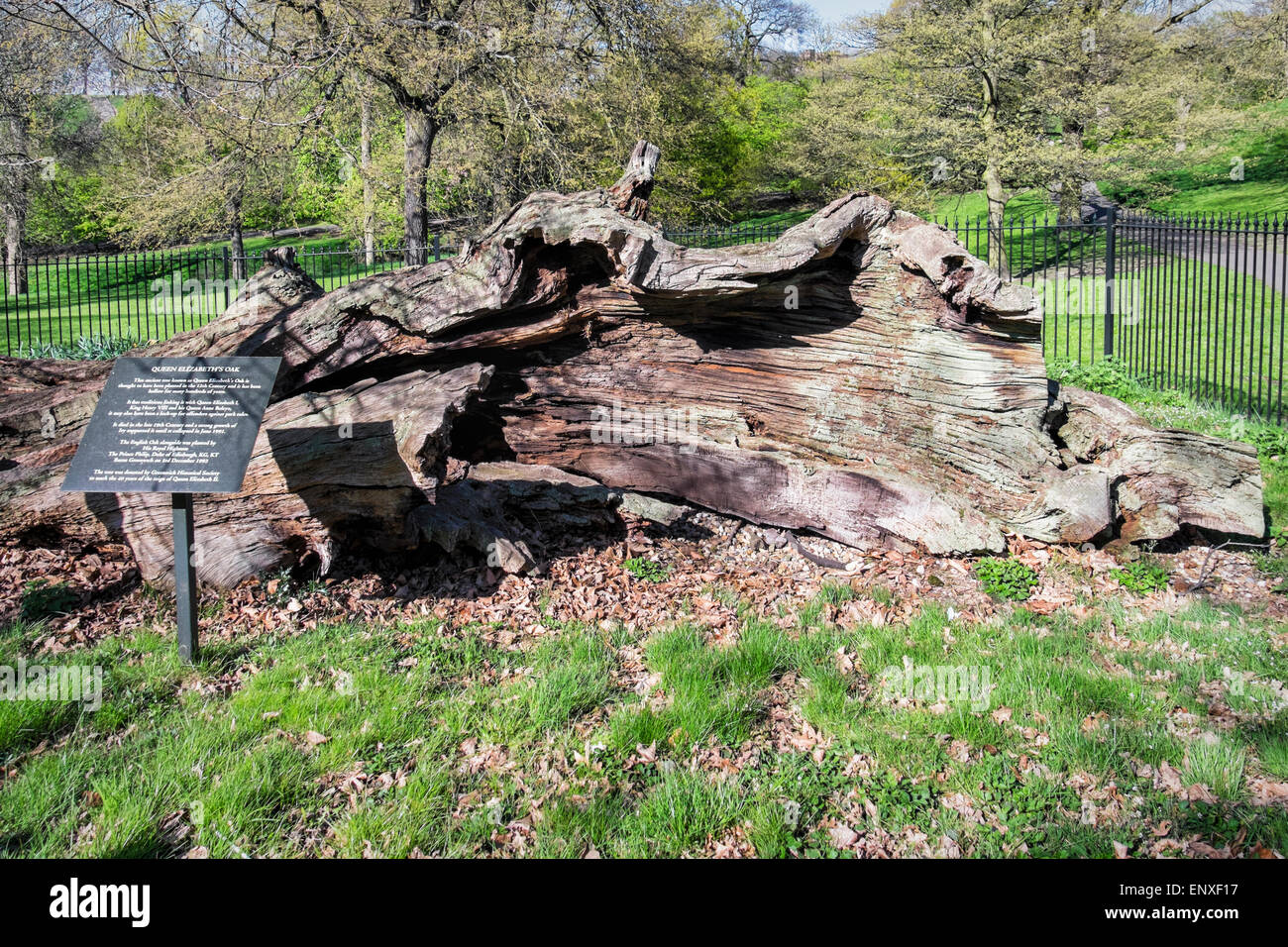Queen Elizabeths Park High Resolution Stock Photography and Images - Alamy