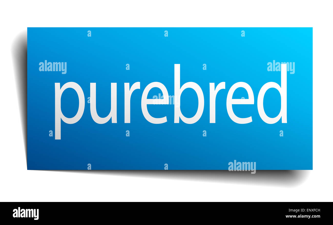 purebred blue paper sign on white background Stock Photo - Alamy