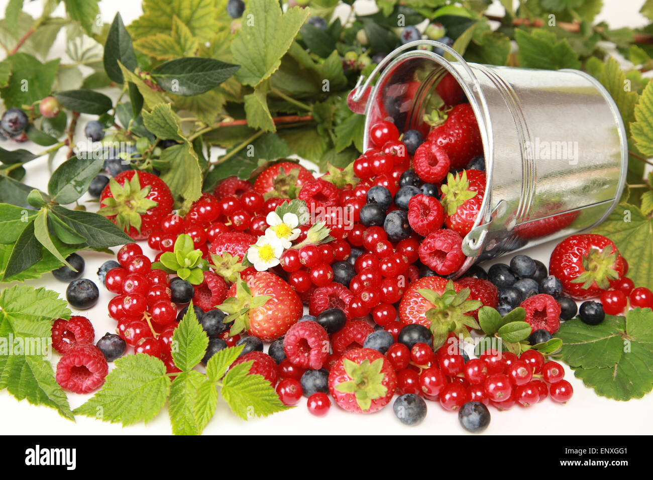 Beeren Mix High Resolution Stock Photography and Images - Alamy