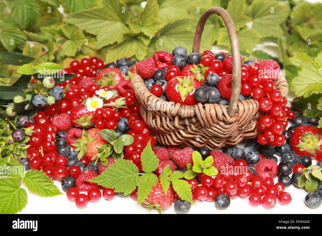 Himbeeren korb hi-res stock photography and images - Alamy