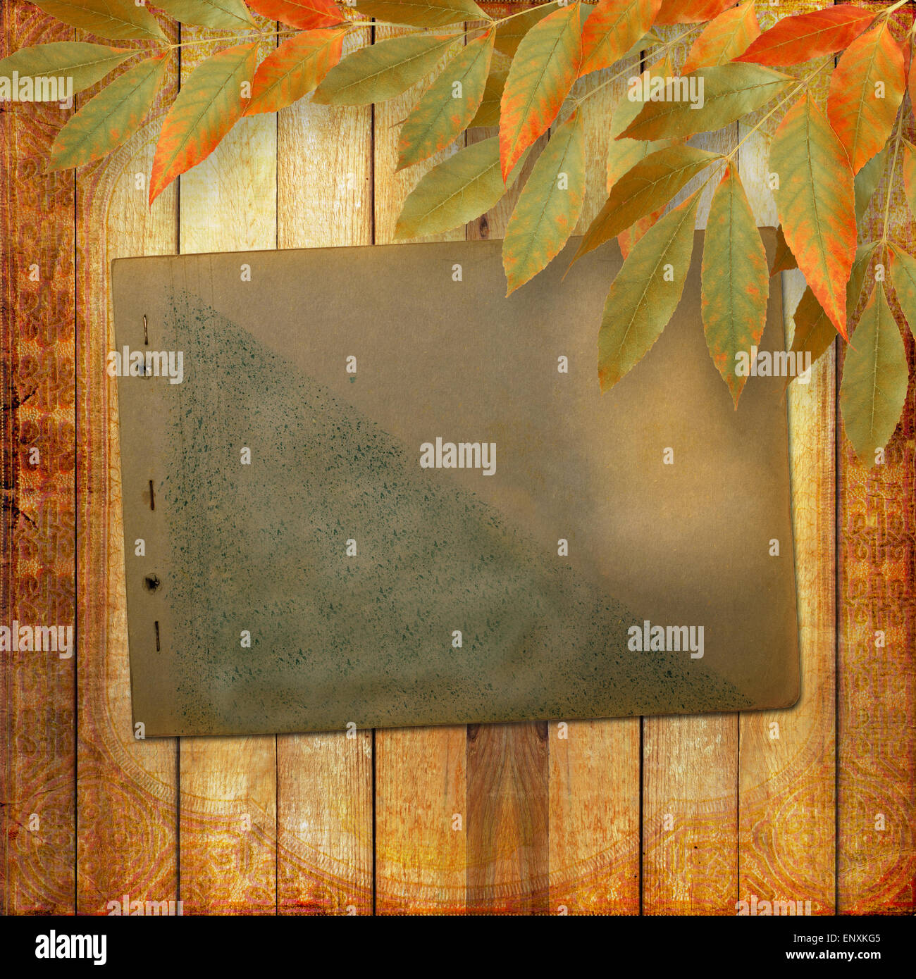 Grunge papers design in scrapbooking style with foliage and page album ...