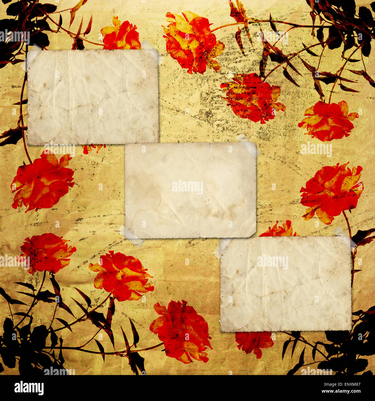 Alienated gold paper background for announcement with rose Stock Photo ...