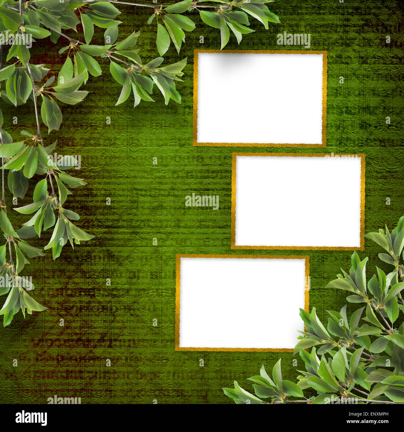 Deciduous tree branch on the background of abstract green wall Stock ...