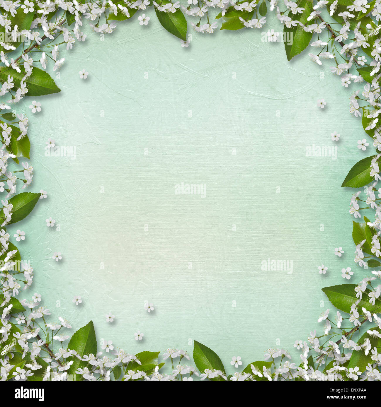 Writing abstract background with frame floral beautiful bouque Stock ...