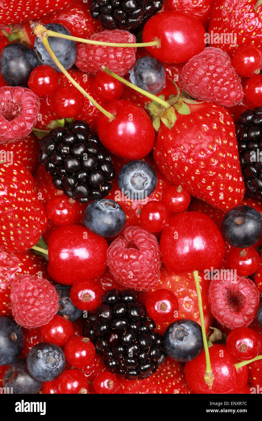 Waldbeeren hi-res stock photography and images - Alamy