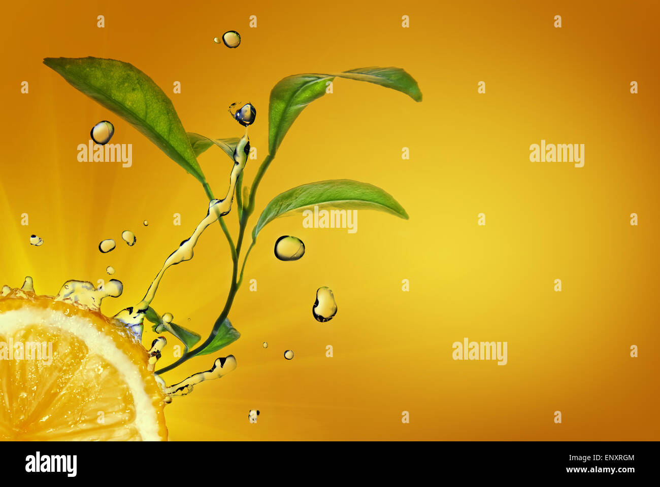water drops on lemon with green leaves isolated on white Stock Photo ...