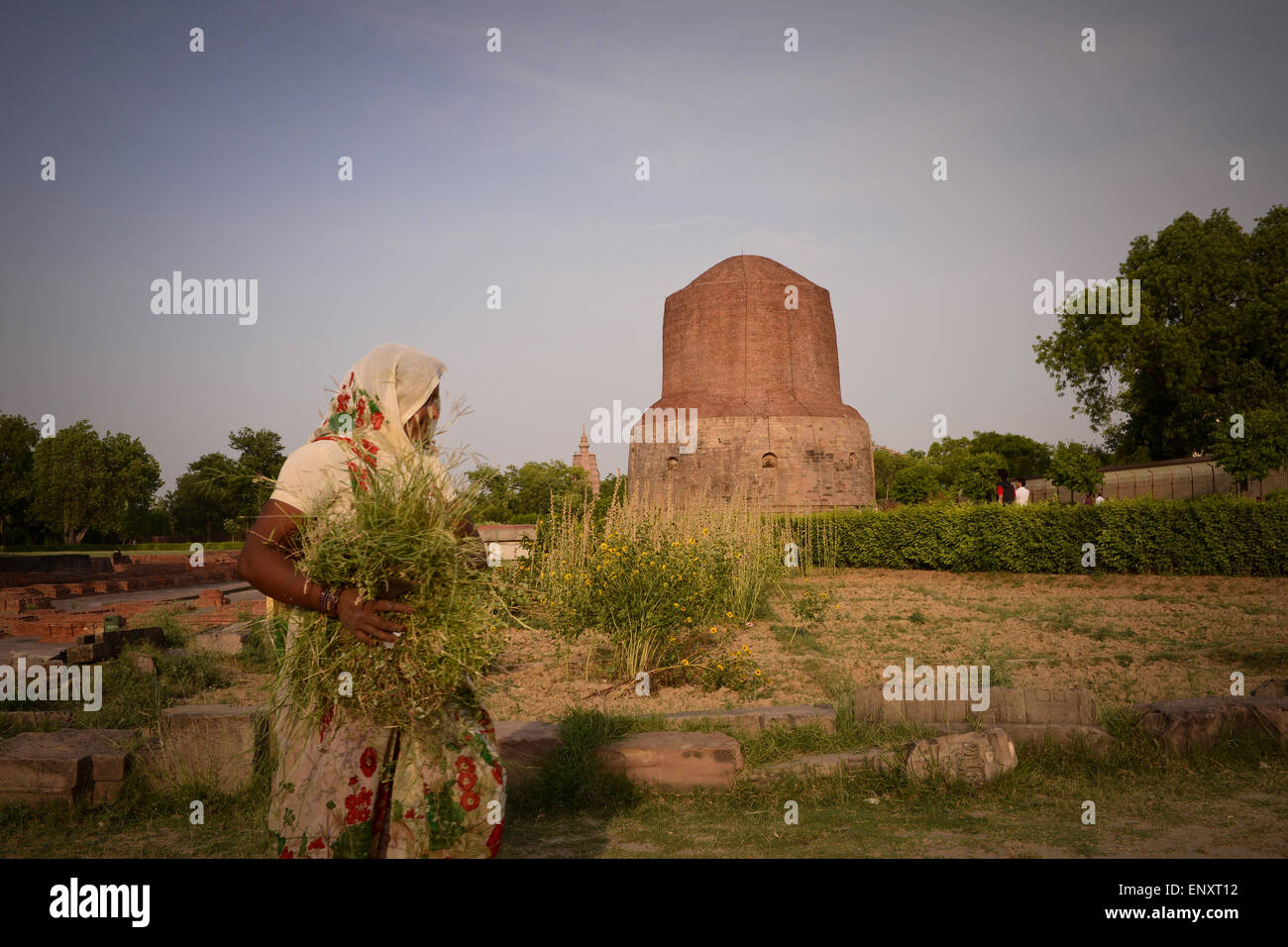 Sarnath, a Buddhist holy place where the Buddha taught for the first ...