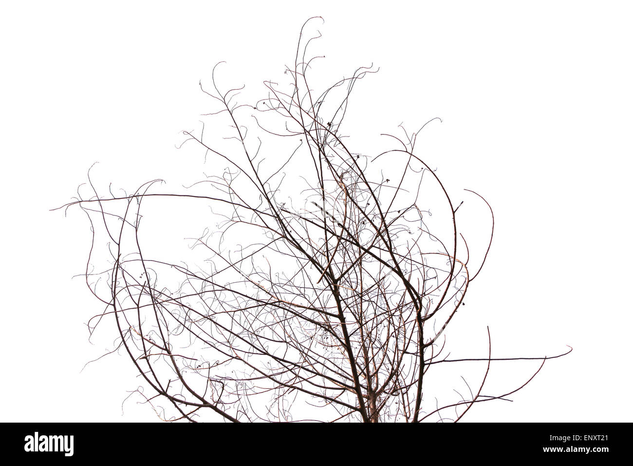 Painting of park in background hi-res stock photography and images - Alamy