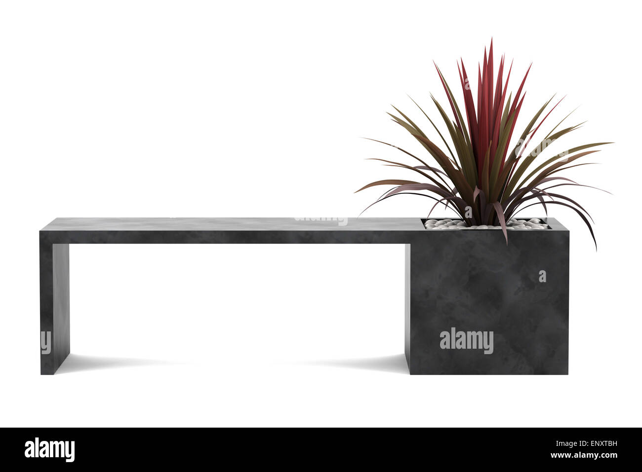 Single bench palm tree hi-res stock photography and images - Alamy