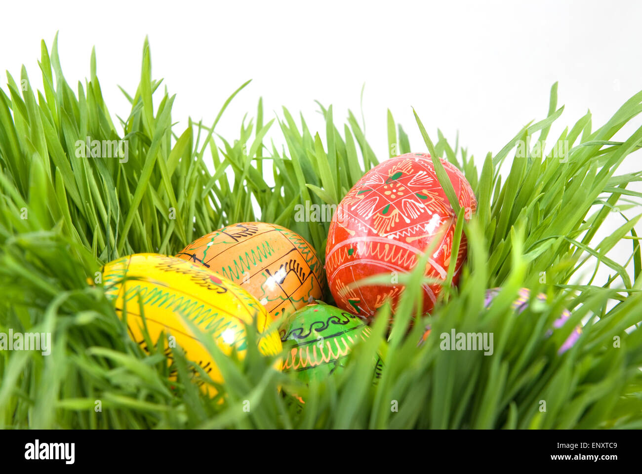 color easter eggs in nest from green grass on white Stock Photo - Alamy