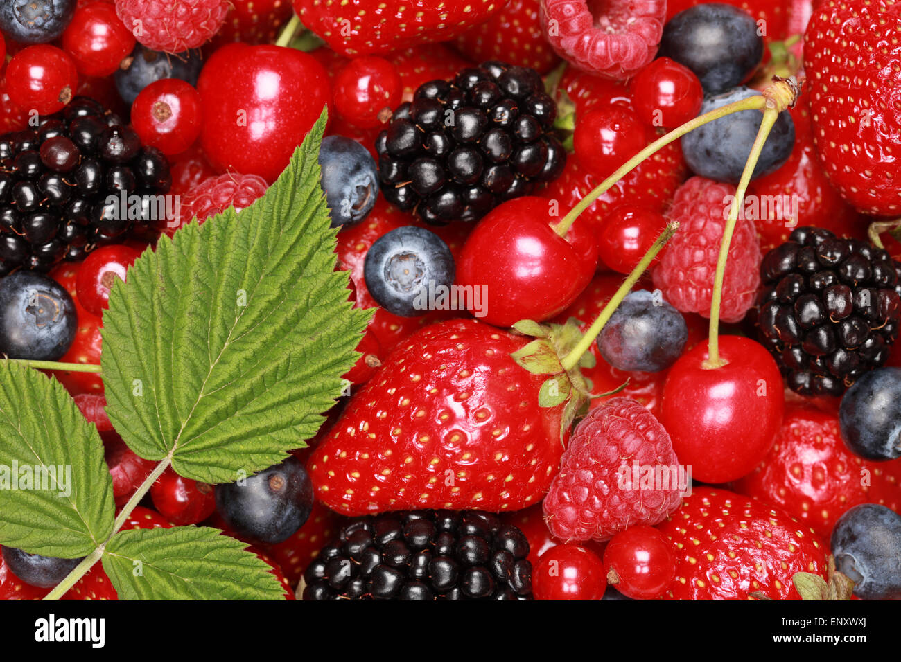 Beerenmischung hi-res stock photography and images - Alamy