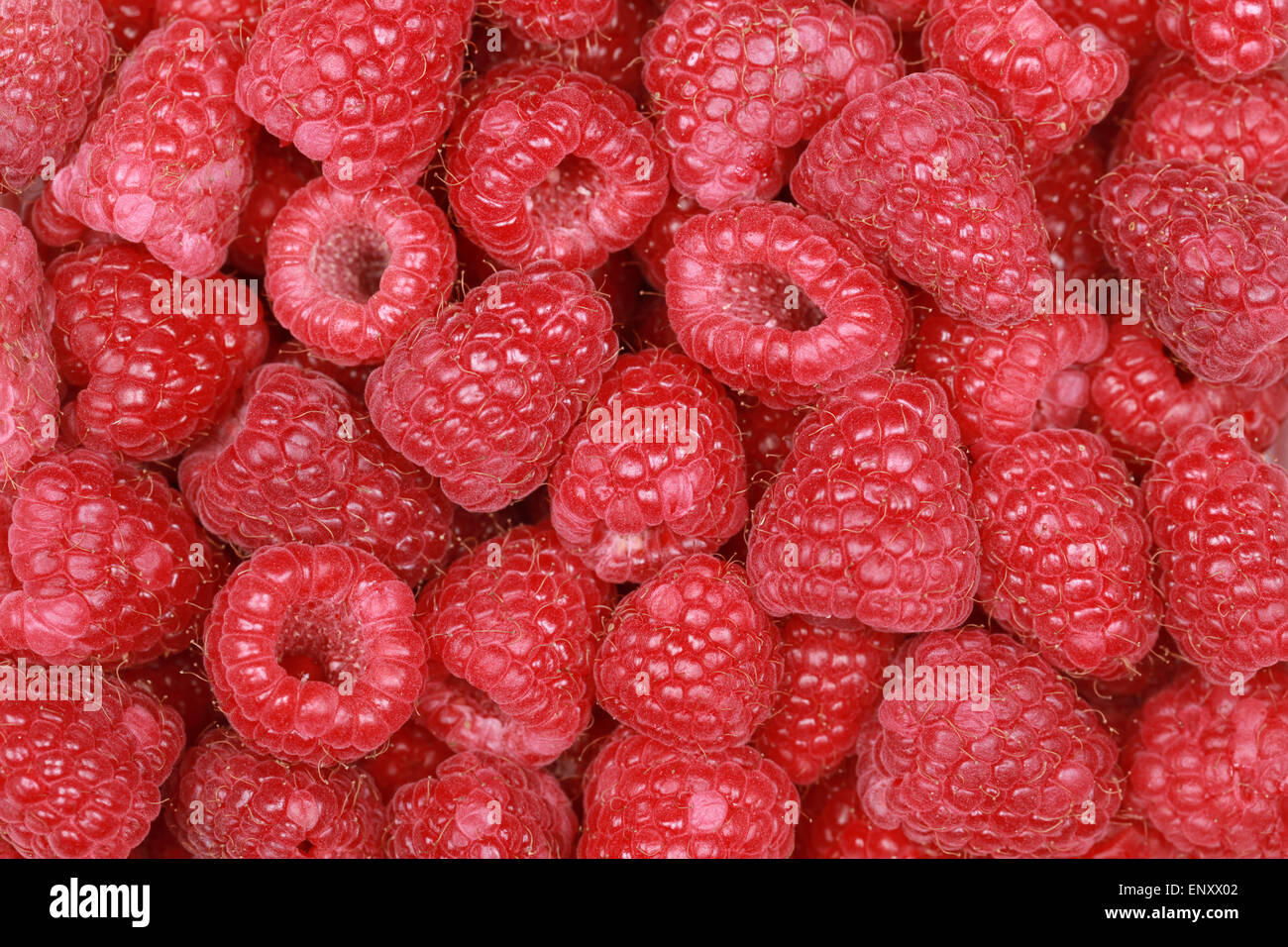 Bio himbeeren hi-res stock photography and images - Alamy