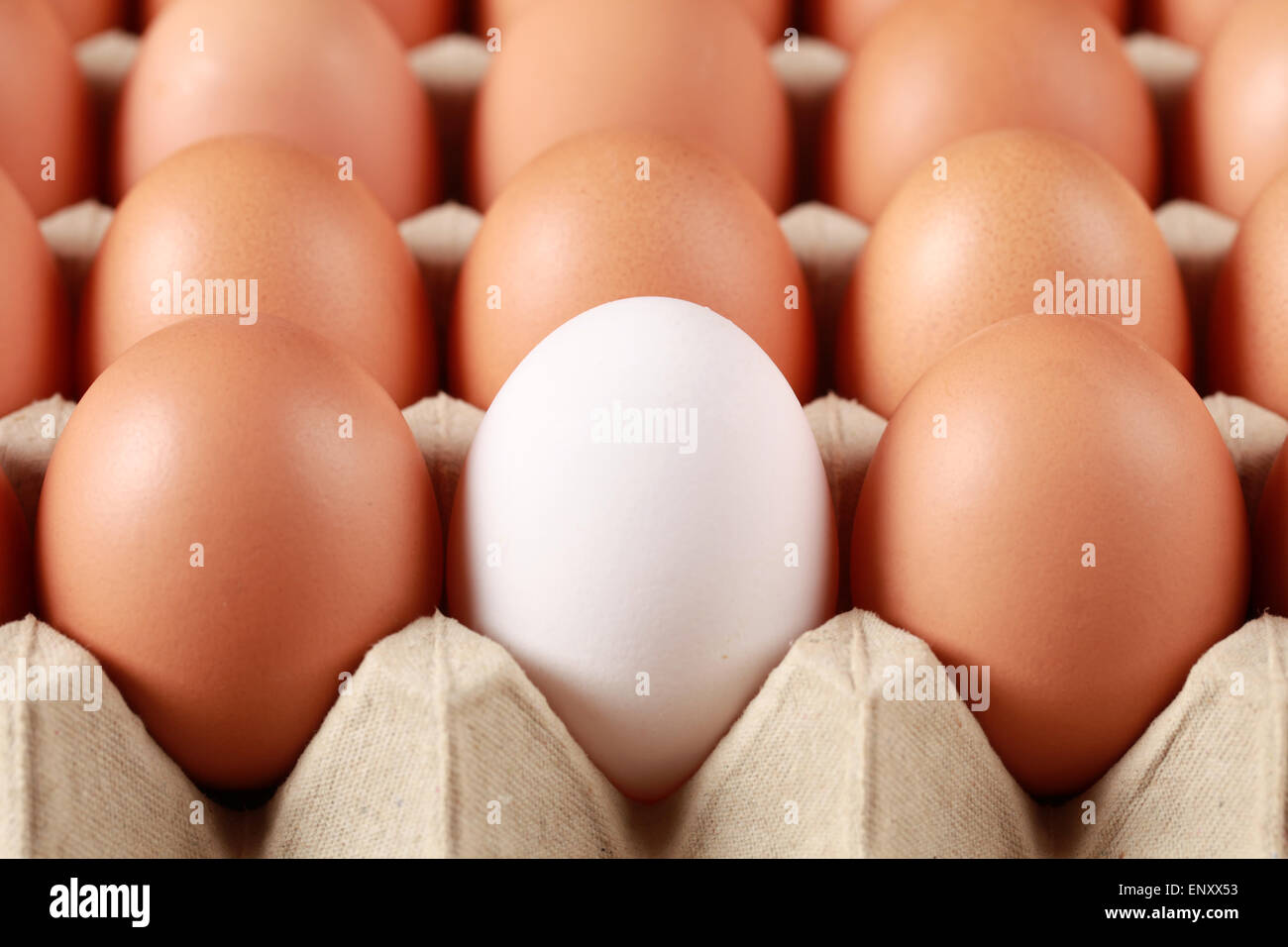 Eierschachtel hi-res stock photography and images - Alamy